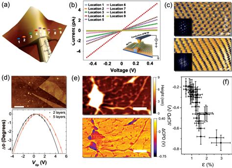 A 3d Afm Topography Of A Few‐layer Thick Mote2 Flake On Top Of A Download Scientific Diagram
