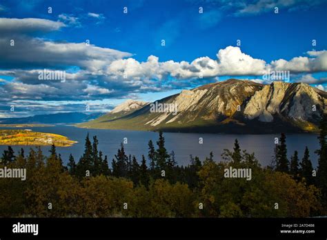 Autumn Views Of Tagish Lake And Bove Island Located Near Carcross In