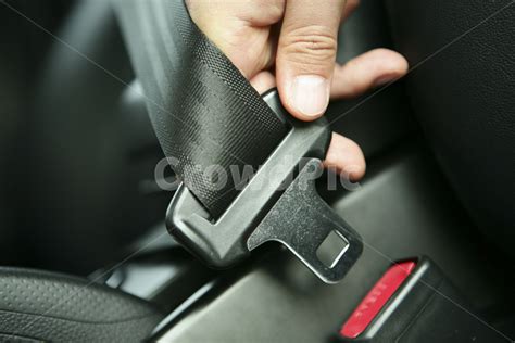 자동차 안전벨트 안전띠 착용 벨트 사진이미지일러스트캘리그라피 Blue Color 작가