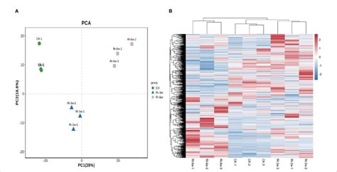 principal component a and hierarchical clustering analyses b of