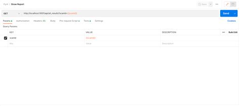 Automaters Full Stack Qa Sdet Api Security Testing With Postman And Pynt Api Security Testing