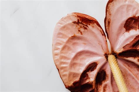 รู้จัก ปัญหาช่องคลอดแห้ง ปัญหาสุดจี๊ดของคนทุกวัย Pynpy