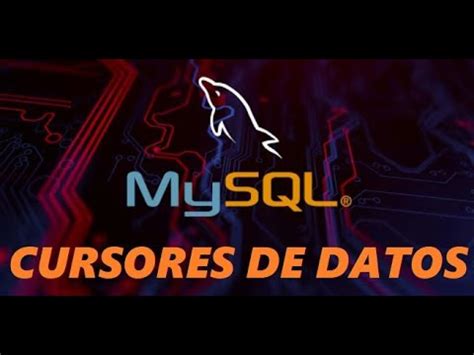 Insertar Datos Con MySQL Cursor En Tabla MySQL YA