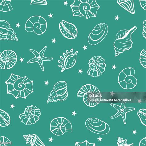 바다 조개껍데기와 바다 별의 완벽 한 벡터 패턴은 손으로 그렸습니다 껍데기에 대한 스톡 벡터 아트 및 기타 이미지 껍데기