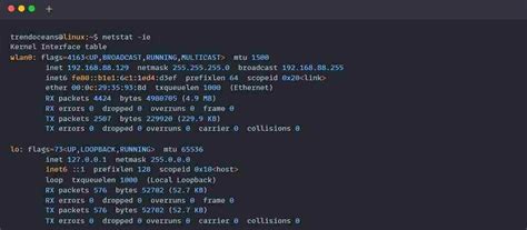 Ways To Find Out Your IP Address In Linux TREND OCEANS