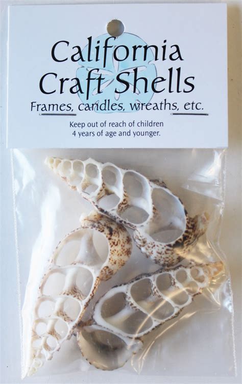 Craft Bag Seashells Shell Craft Supplies California Seashell Co