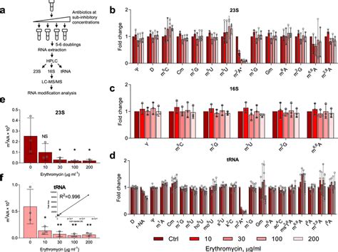 Epitranscriptomic Profiling Of 23 S And 16 S Rrna And Trna Of Download Scientific Diagram