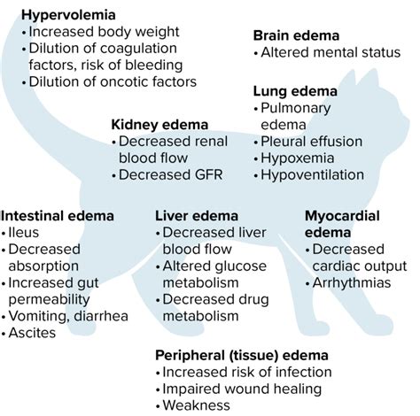 Section 6 Fluid Overload Aaha