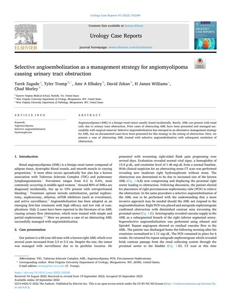 Pdf Selective Angioembolization As A Management Strategy For Angiomyolipoma Causing Urinary