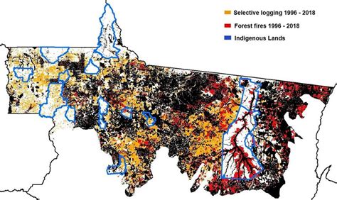 Forest White Deforestation Black Selective Logging Orange And Download Scientific