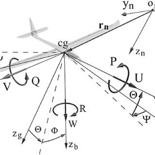 Coordinate Systems Own Study Download Scientific Diagram