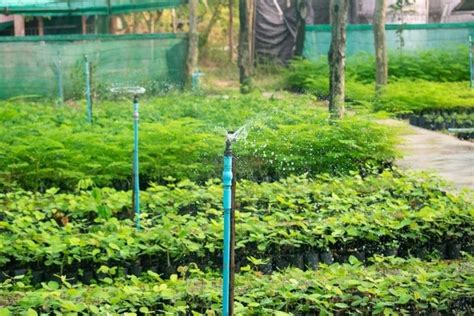 រយៈពេល១ខែ៖ក្រសួងបរិស្ថាន«បណ្តុះកូនឈើបានជាង១២ម៉ឺនដើម សុីសុីថាមស៍