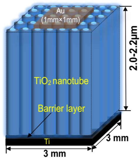 Schematics Of The Anodized Tio 2 Nanotube Array Based Capacitive Sensor