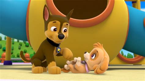 Skye X Chase Pics Skye And Chase Paw Patrol Photo 40040687 Fanpop