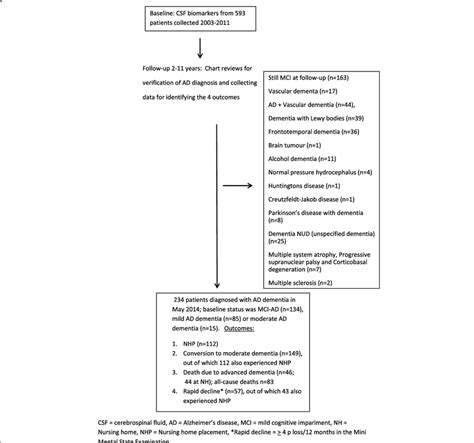 Flowchart Of The Study Population Csf Cerebrospinal Fluid Ad Download Scientific Diagram Flowchart Of The Study Population Csf Cerebrospinal Fluid Ad Download Scientific Diagram
