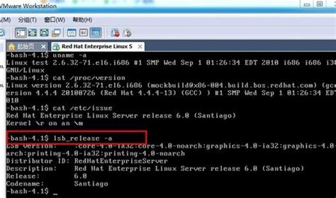 Linux系统如何查看版本信息 新知