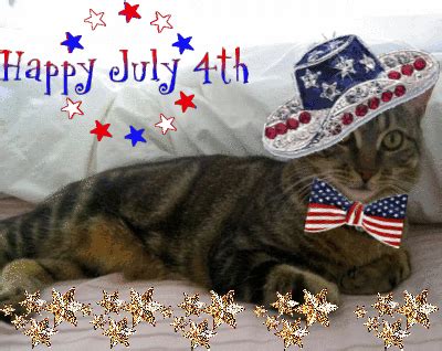 Happy July 4th Cat Photography With Stars
