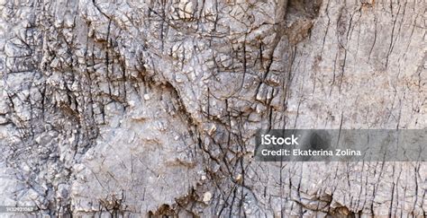 가벼운 거친 자연 바위 돌 배경 광산 절벽 거친 전면 표면 무거운 그런 지 손상 화강암 블록 질감 0명에 대한 스톡 사진 및 기타 이미지 Istock