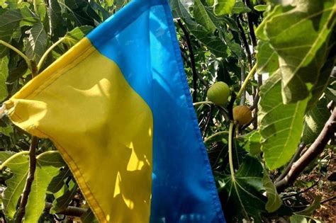 Сімеїз не здається Українські прапори майорять в кожному куточку Криму Телеканал Atr