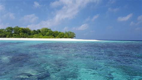 Solving On The Fly Route With Named Route In Flutter By Ibrahim Zahir Medium