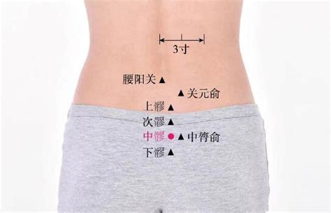 中髎的准确位置图及功效视频位位置图 按摩中髎的准确位置图及功效视频的作用与好处 经络穴位网