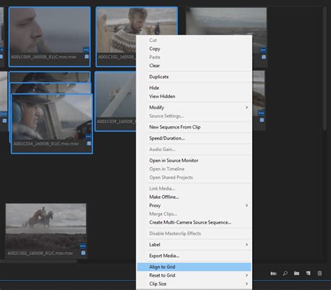 Working In The Project Panel In Premiere Pro