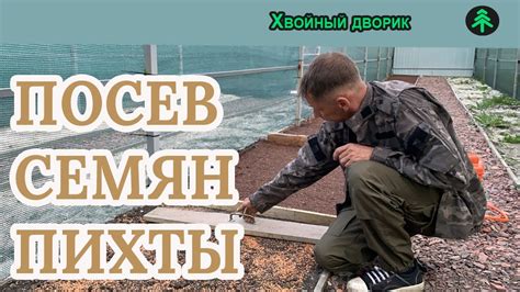 Плейлист Посев семян хвойных растений смотреть онлайн в хорошем качестве