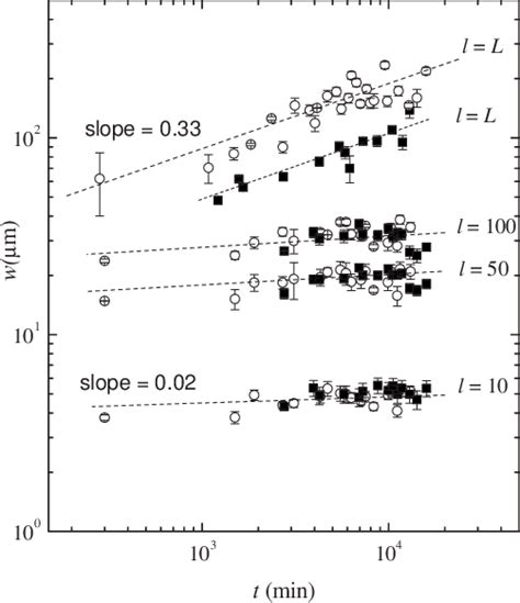 Log W Versus Log T Plots From Overhang Corrected Data From Procedure I