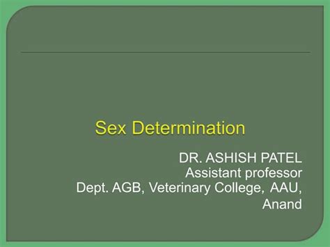Sex Determination Chromosomal Theory Of Sex Determination Pptx