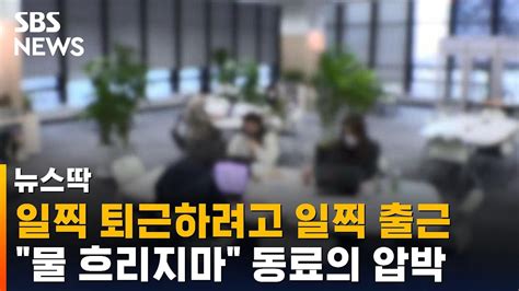 일찍 퇴근하려고 일찍 출근물 흐리지마 동료의 압박 Sbs 뉴스딱 Youtube