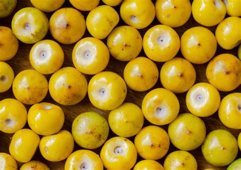Exotic El Salvador Fruits 30 Fruits In El Salvador