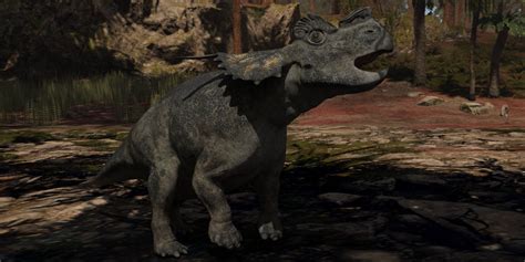 Achelousaurus By Oracle1990 On Deviantart