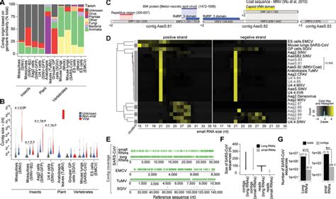 Virus Detection Based On Large Scale Sequencing Of Small Rnas Is