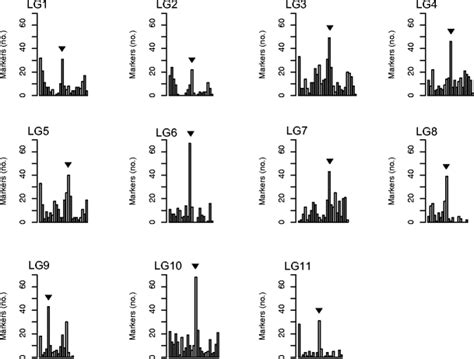 Distribution Of Markers On The High Density Linkage Map Markers Were Download Scientific