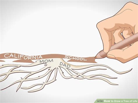 How To Draw A Tree Of Life With Pictures WikiHow