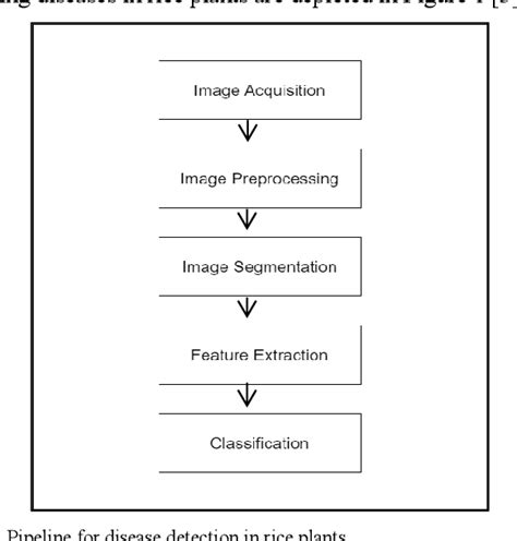 Figure 1 From Deep Learning Based Rice Leaf Disease Diagnosis Using Convolutional Neural