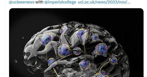 Physical Reservoir Computing Album On Imgur