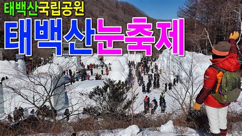 태백눈꽃축제 웅장하고 멋진 눈조각품과 태백의 겨울을 만나보시죠 태백산행 얼음축제 석탄박물관 강원도 가볼만한곳 대구여행나라 Youtube
