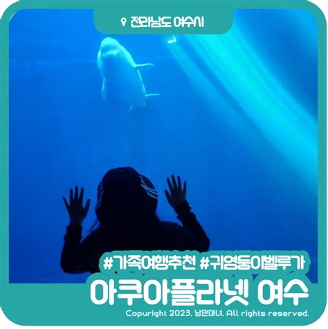 아쿠아플라넷 여수 외 1박 2일 가을여행지 추천 부모님과 함께한 여수 가족여행코스 네이버 블로그