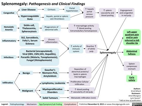 Splenomegaly Pathogenesis And Clinical Findings Calgary Guide