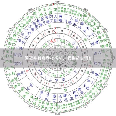 紫微斗数看老板格局，老板命盘特征 七政四余网