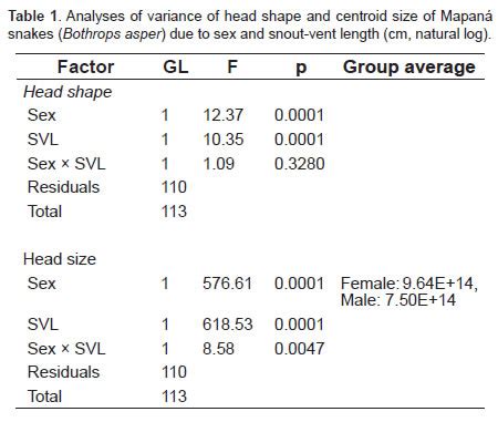 Sex related head size and shape dimorphism in Mapaná snakes Bothrops asper kept in captivity