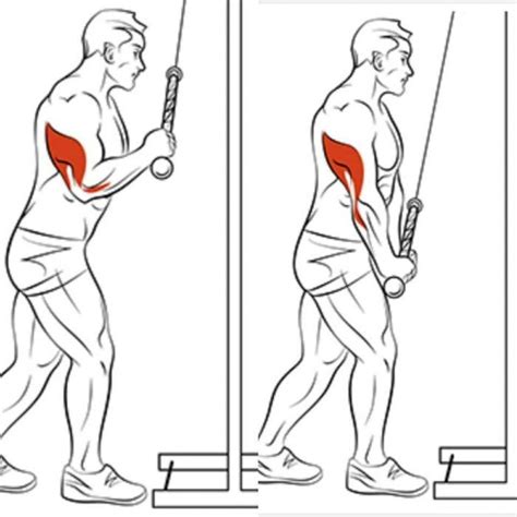 Tricep Pull Down Form