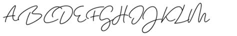 shopping script light condensed font script elegant what font is
