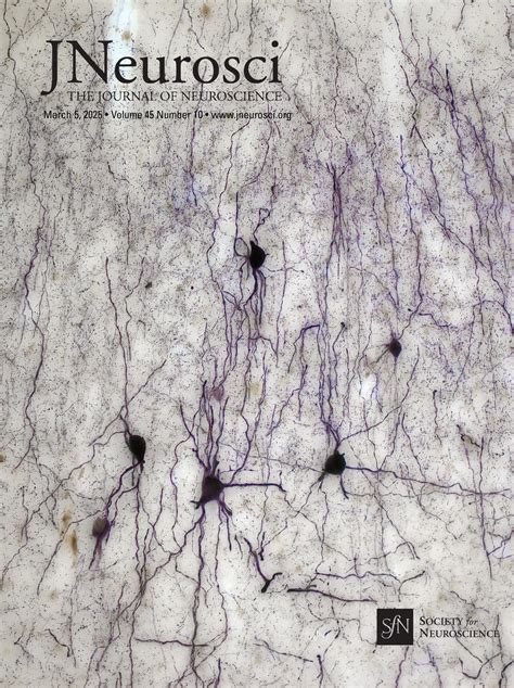 Modulatory Neurotransmitter Genotypes Shape Dynamic Functional