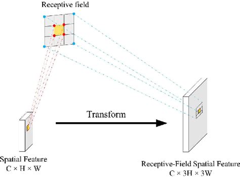 Pdf Rfaconv Innovating Spatial Attention And Standard Convolutional Operation Semantic Scholar