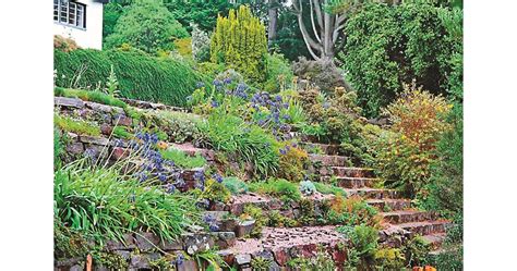 Идеи за двор с труден терен Български Фермер