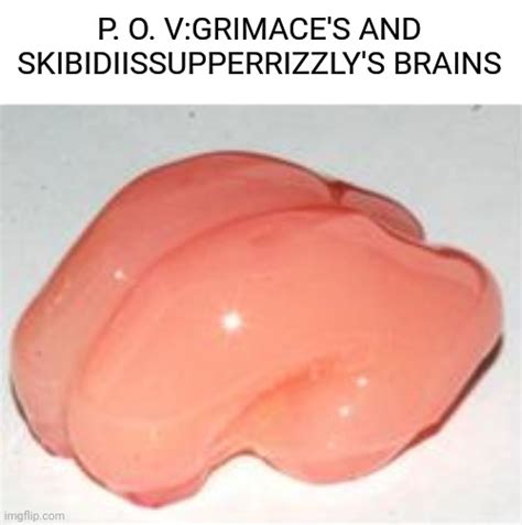 Smooth Brain Imgflip