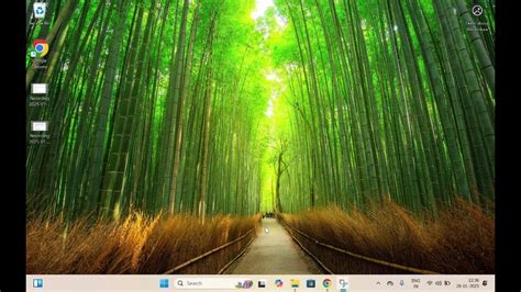 How To Install Lex Tool And Run Lex Files In Vscode Using Msys2