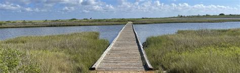 Oak Mott Eskimo Curlew And Clapper Rail Loop 166 Reviews Map